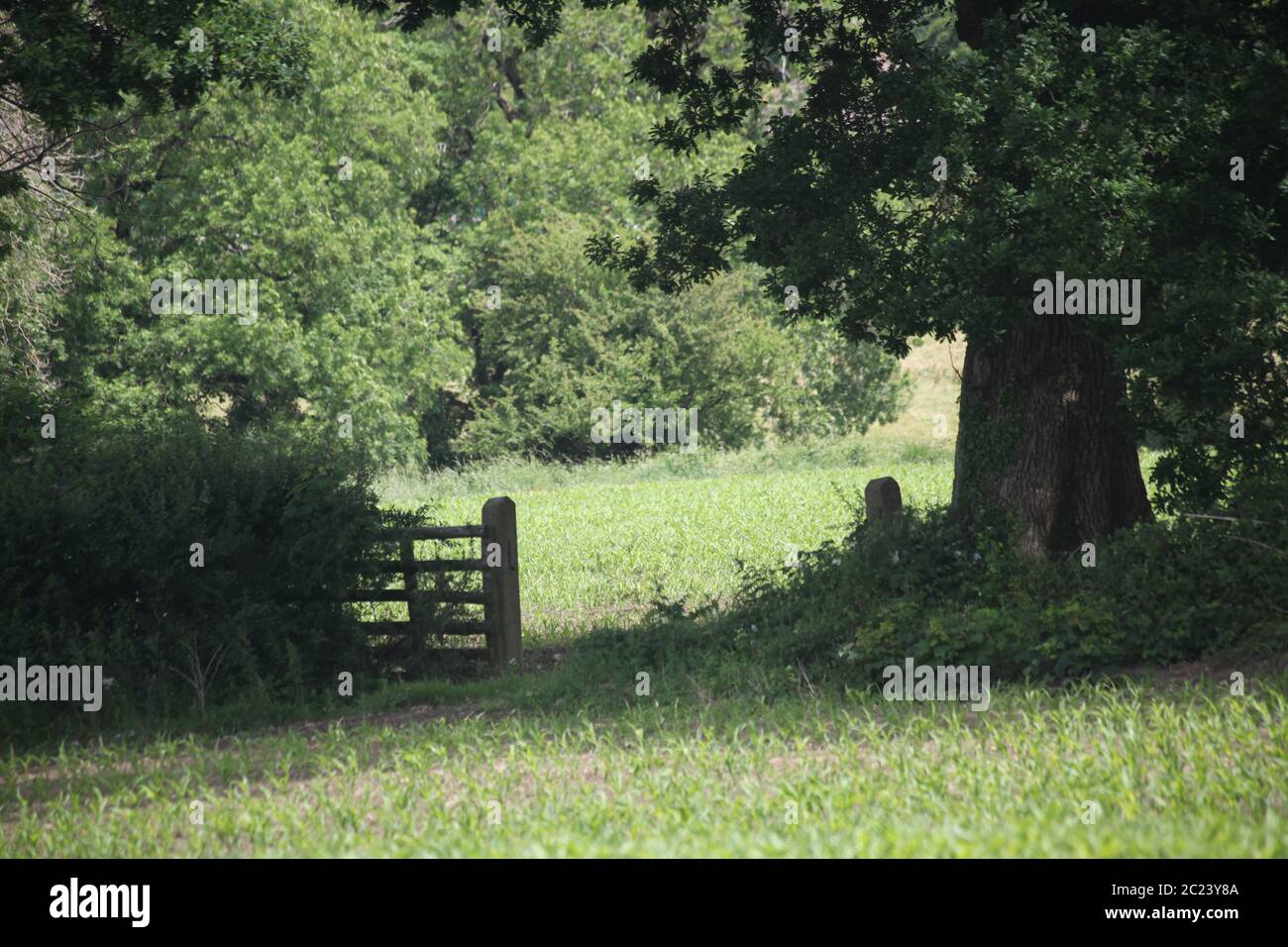 The field gateway hi-res stock photography and images - Alamy