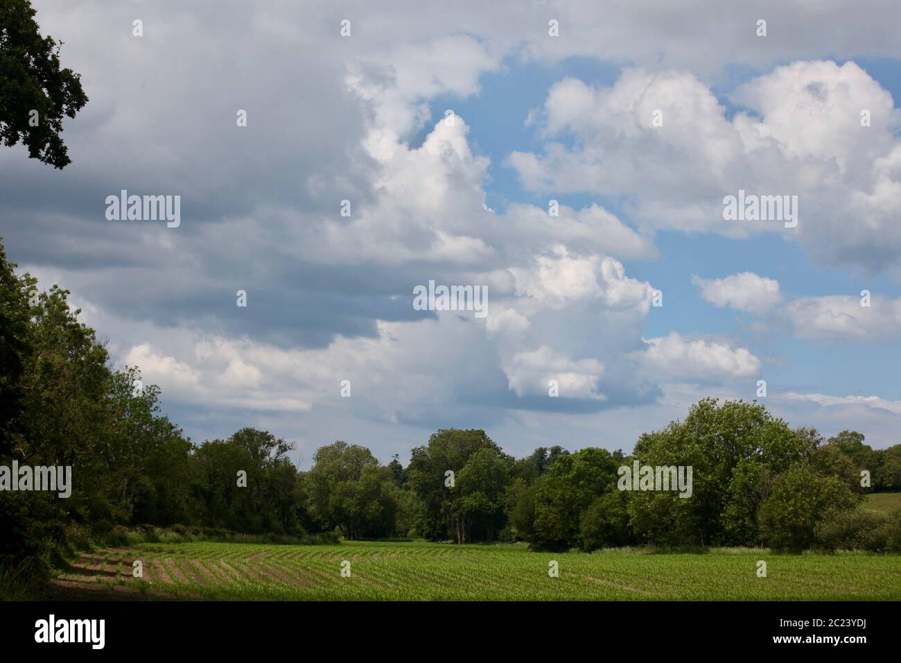 Welsh rural scene Stock Photo - Alamy