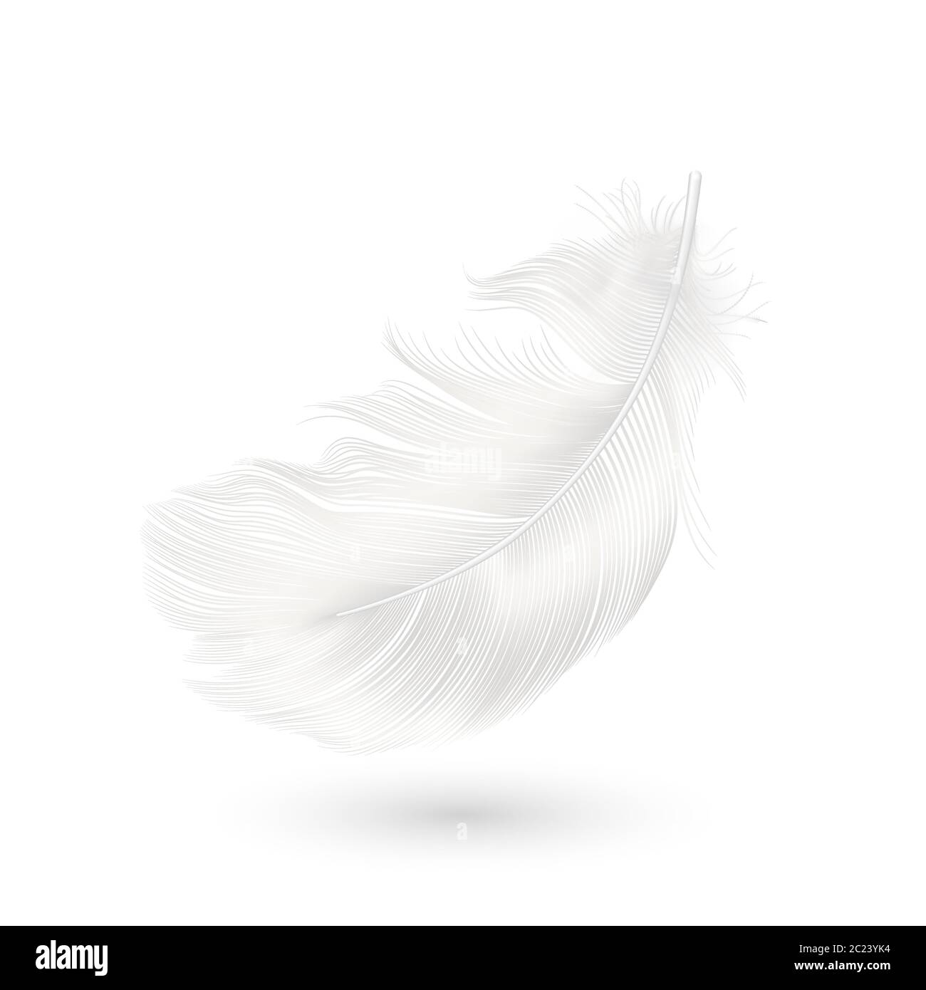 Falling Feather Png