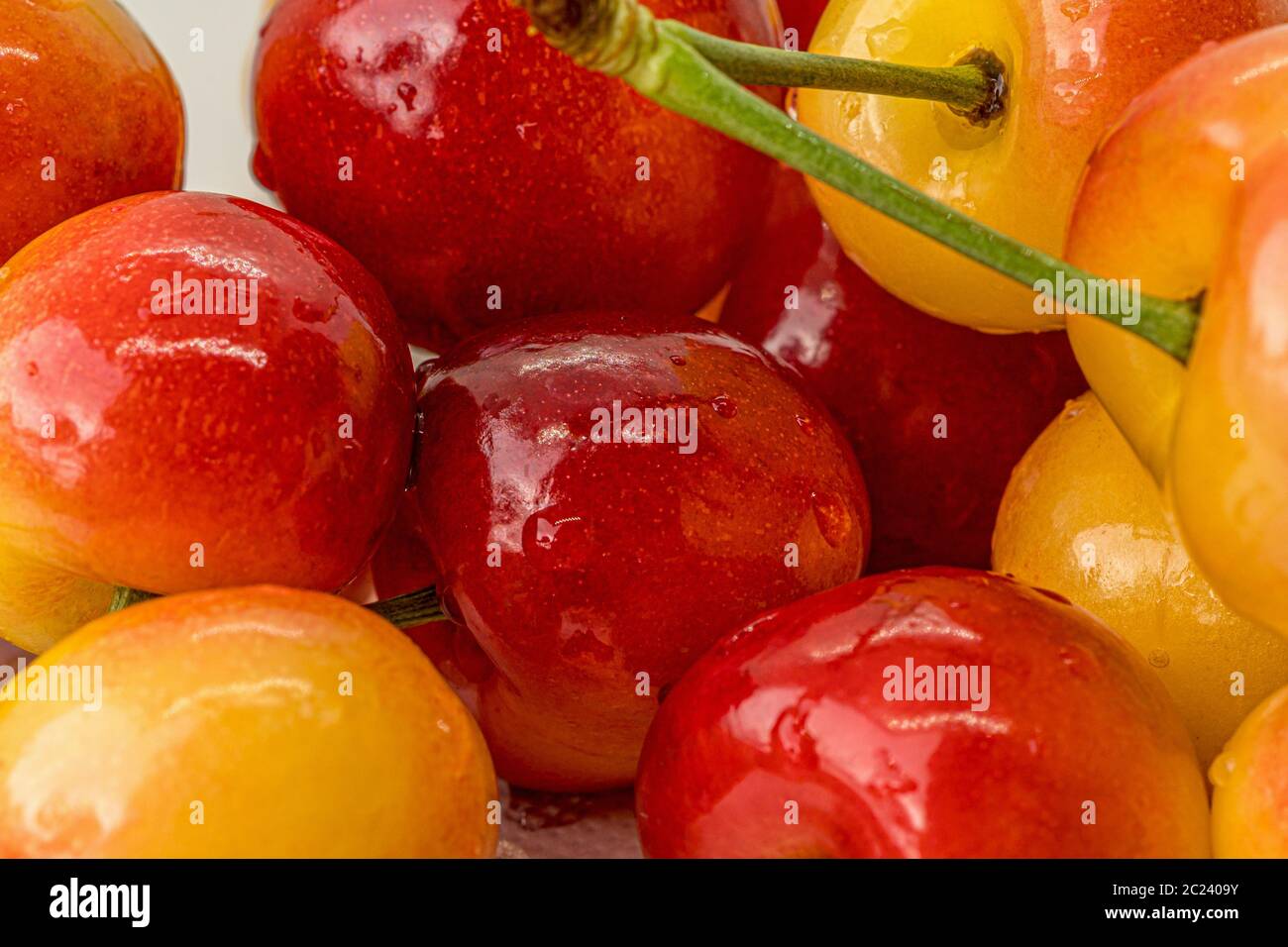 Cherry on a white background. Red and yellow berry closeup macro ...