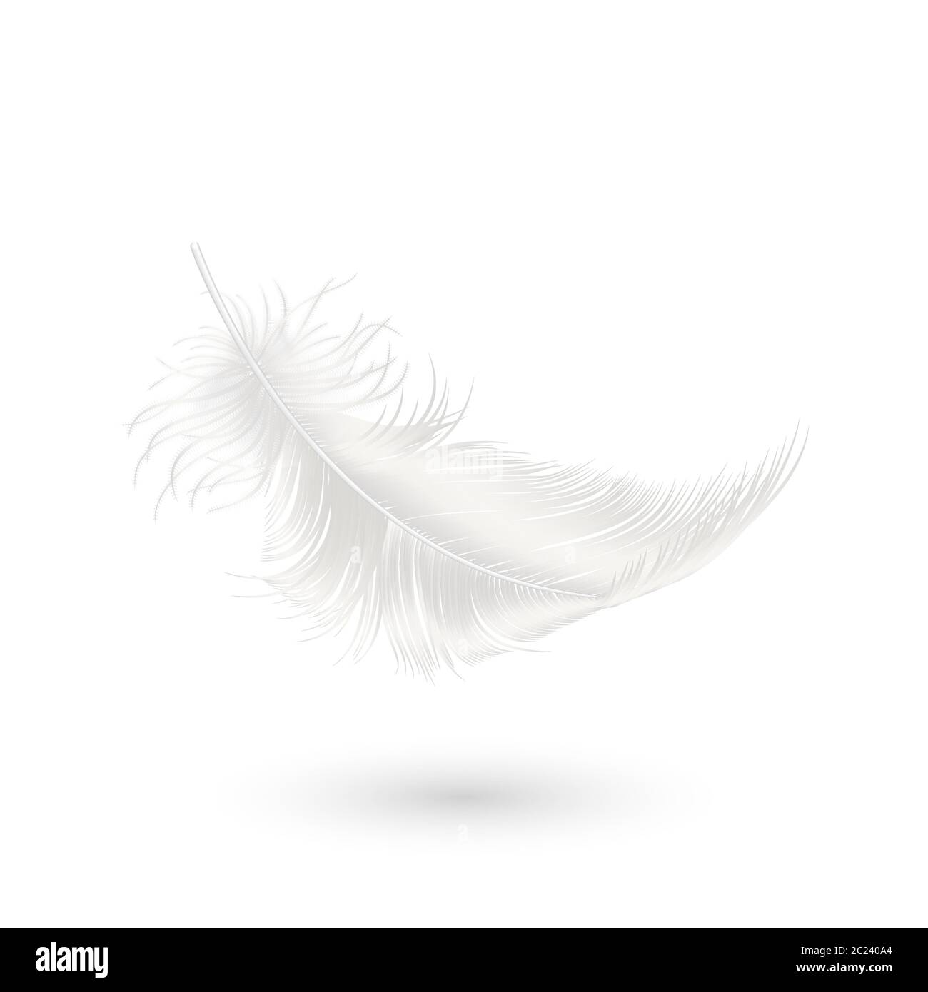 White Feather Falling