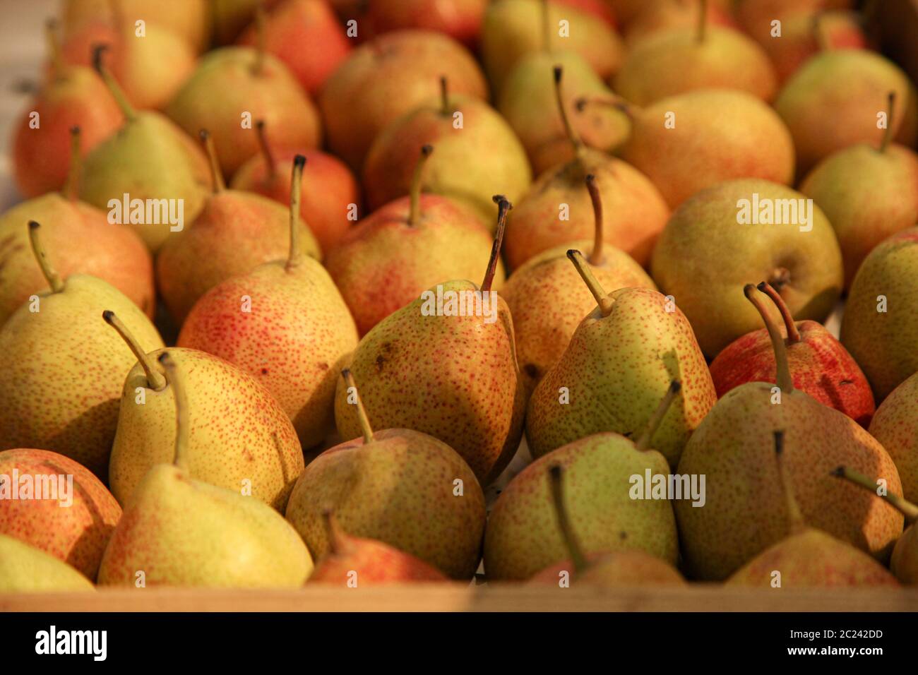 Mix of light yellow hi-res stock photography and images - Alamy