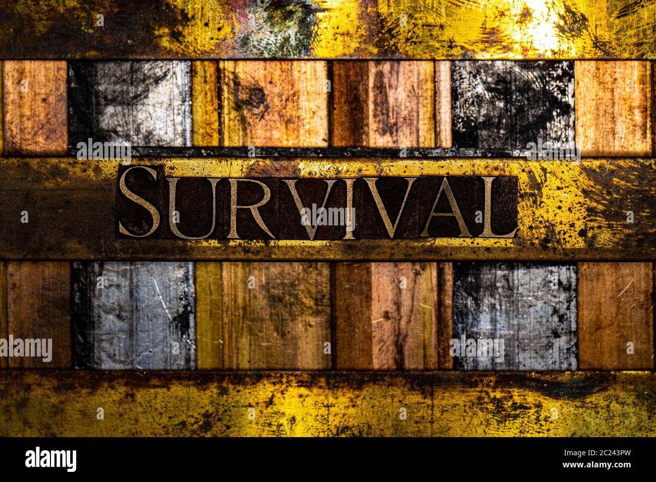 Survival text formed with real authentic typeset letters on vintage ...