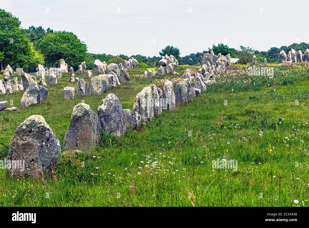 Alignements de Carnac - Carnac stones in Carnac, France Stock Photo - Alamy