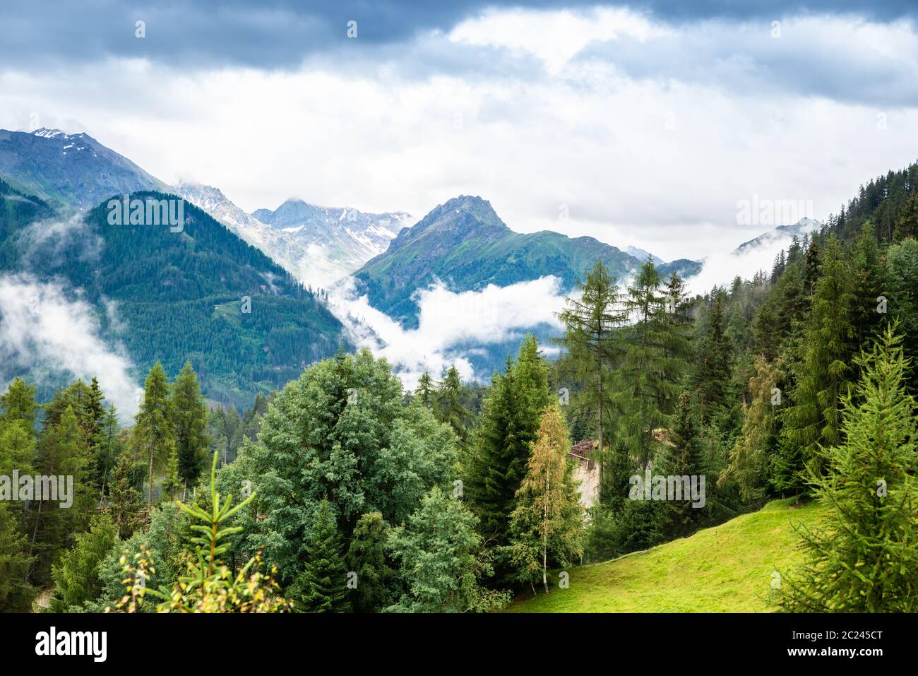 Alpine Mountains And Fir Trees In Austria, Alps Stock Photo - Alamy