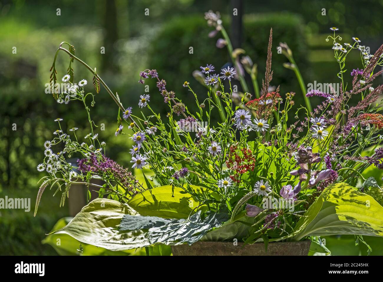 Field Flower Bouquet Stock Photo - Alamy