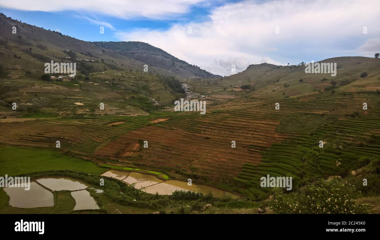 Landscape with the rice fields at Ambalavao Fianarantsoa ,Madagascar ...