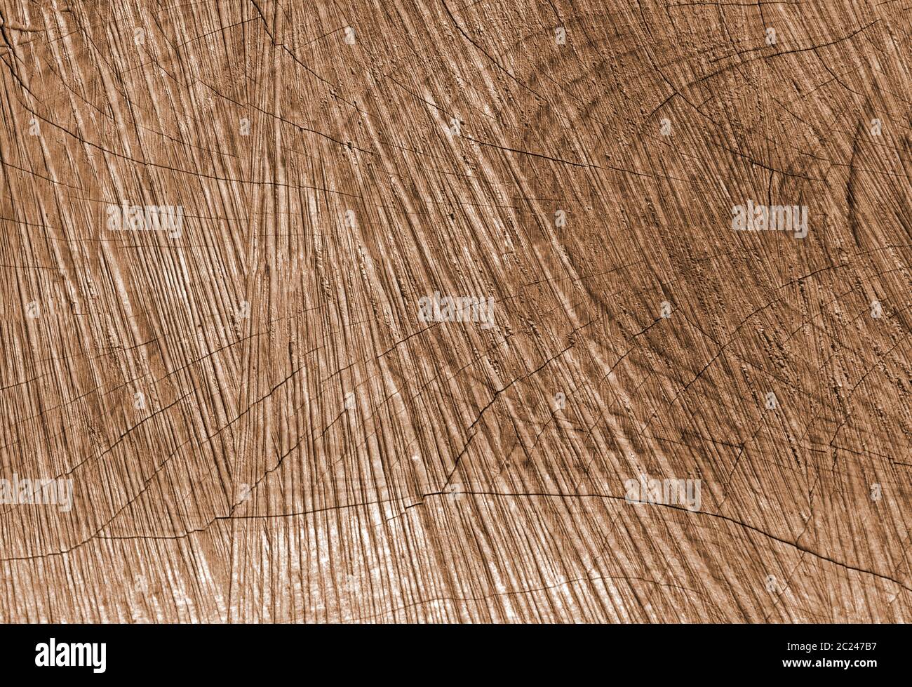 rough cut brown timber surface with patterned scratched surface over ...