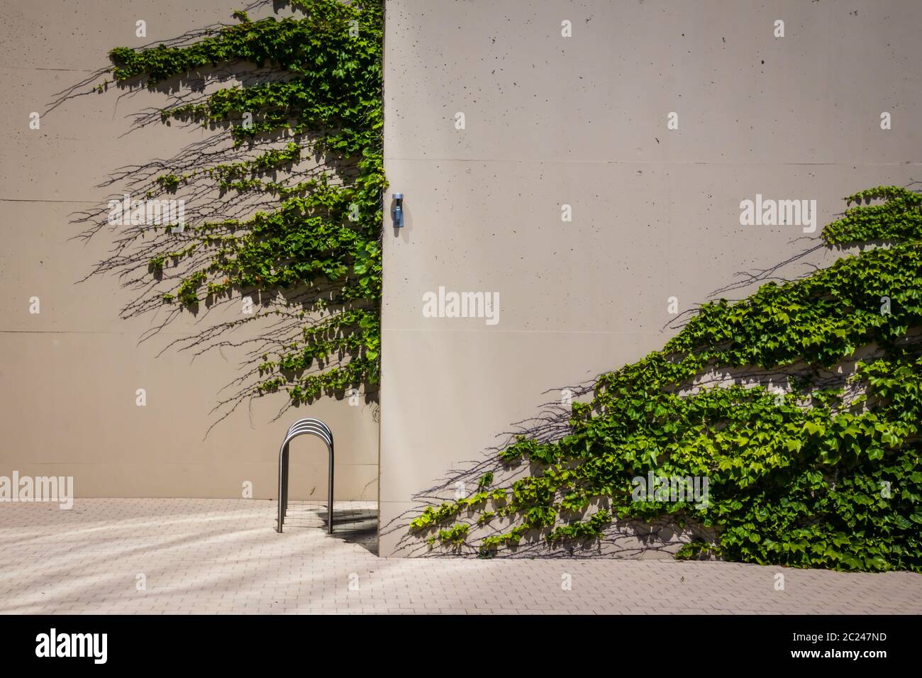 Vines on wall hi-res stock photography and images - Alamy