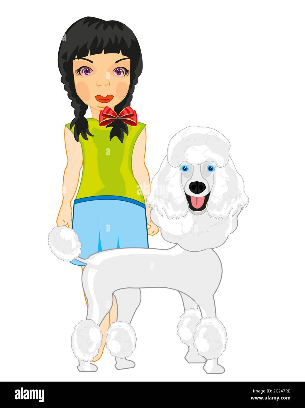 Vector illustration of the cartoon of the decorative dog poodle with ...