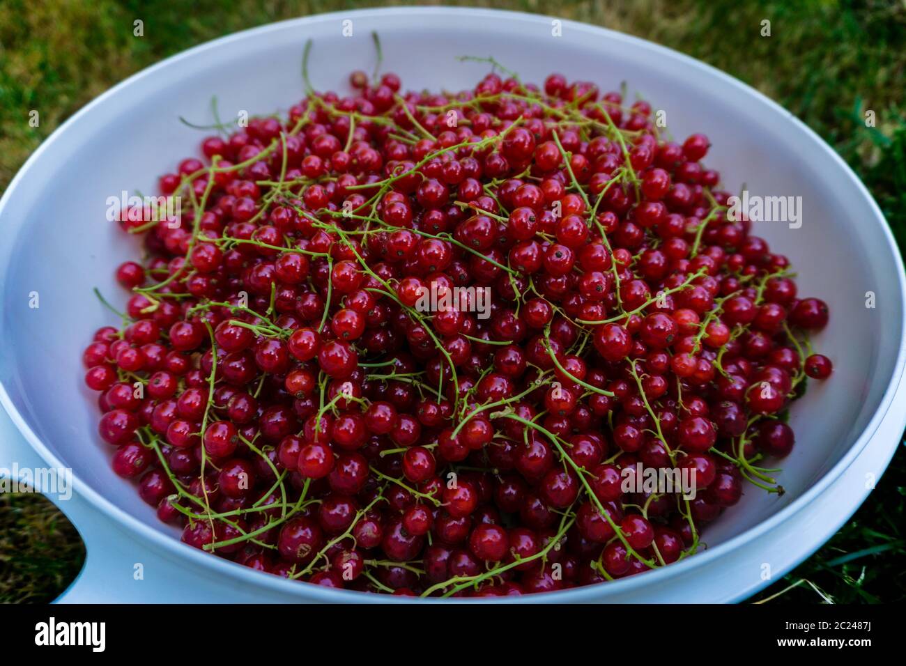 Currants fruit hi-res stock photography and images - Alamy