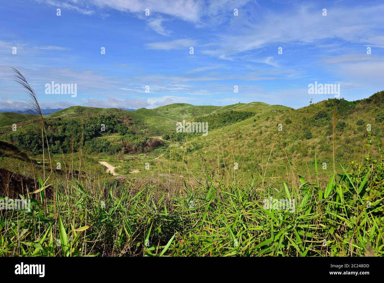 Landscape of green mountain view with Blur style : provide for insert ...