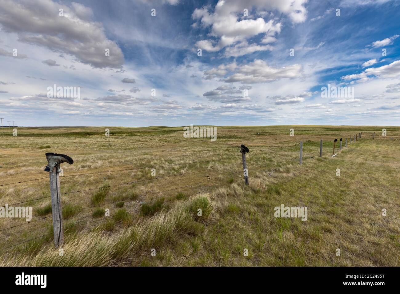 Bison Stone in the Prairie of Canada Stock Photo - Alamy