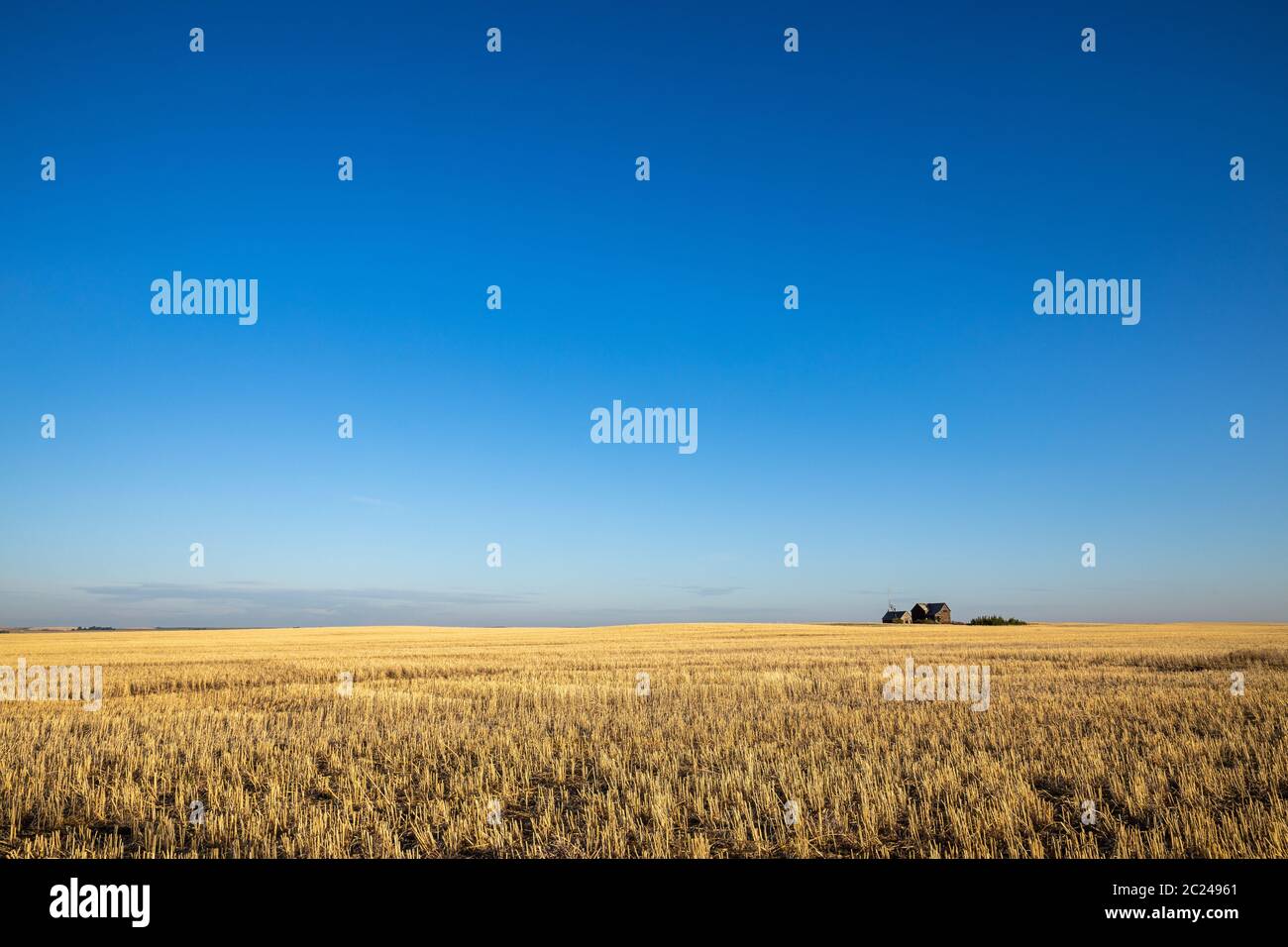 Summer in the Prairie of Canada Stock Photo - Alamy