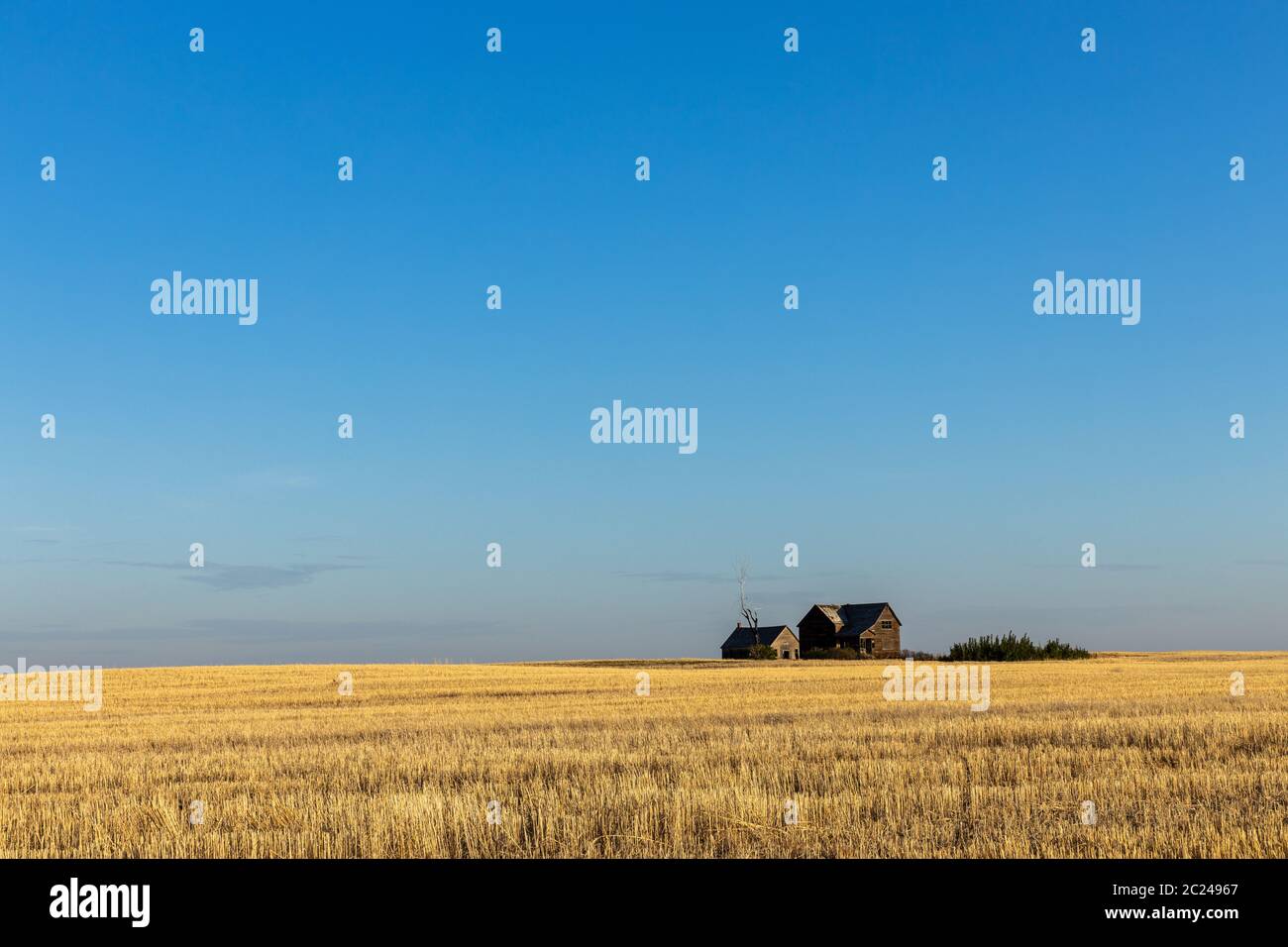 Abandoned Farm in the Prairie of Canada Stock Photo - Alamy