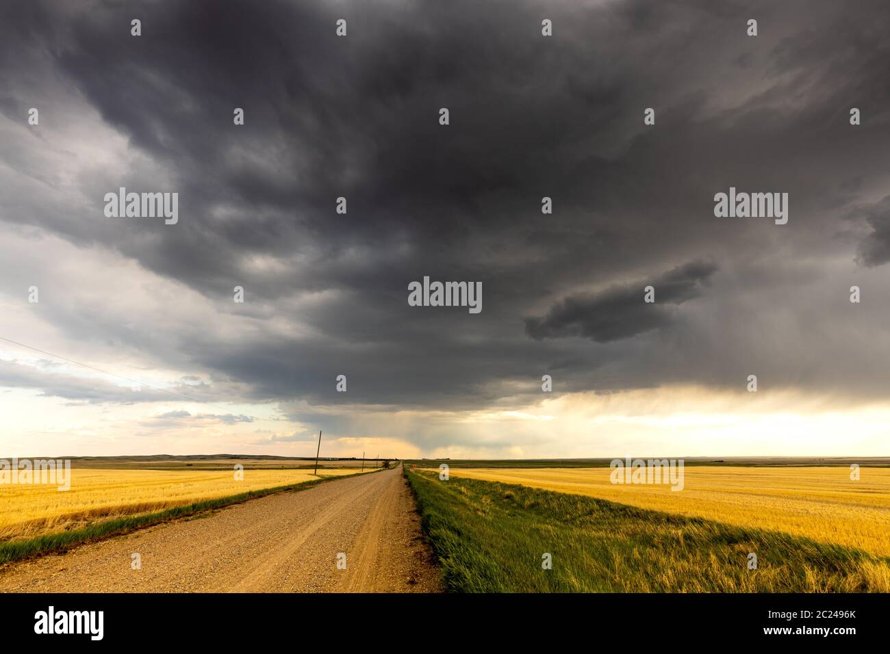 Summer in the Prairie of Canada Stock Photo - Alamy