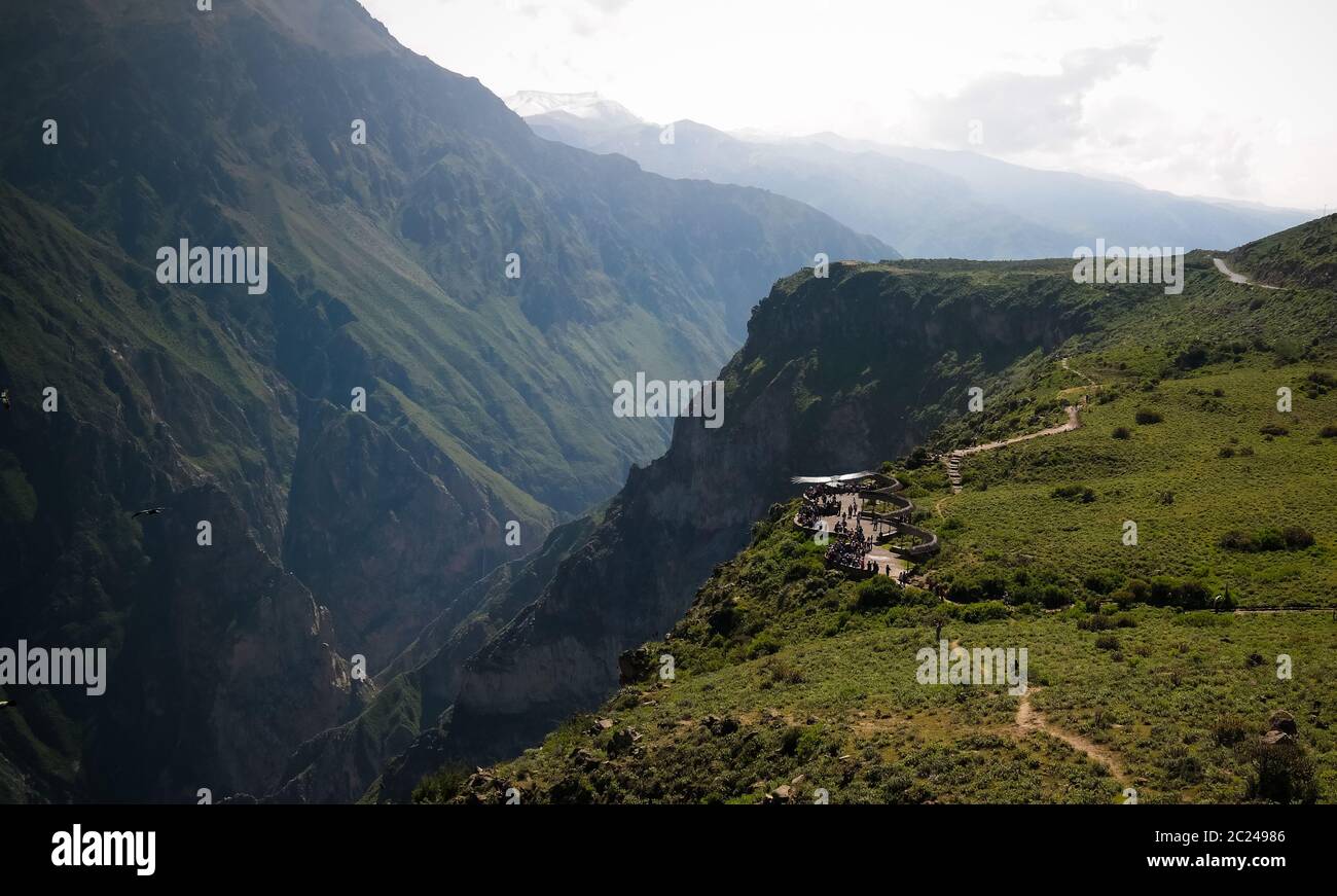 Condors above the Colca canyon at Condor Cross or Cruz Del Condor ...