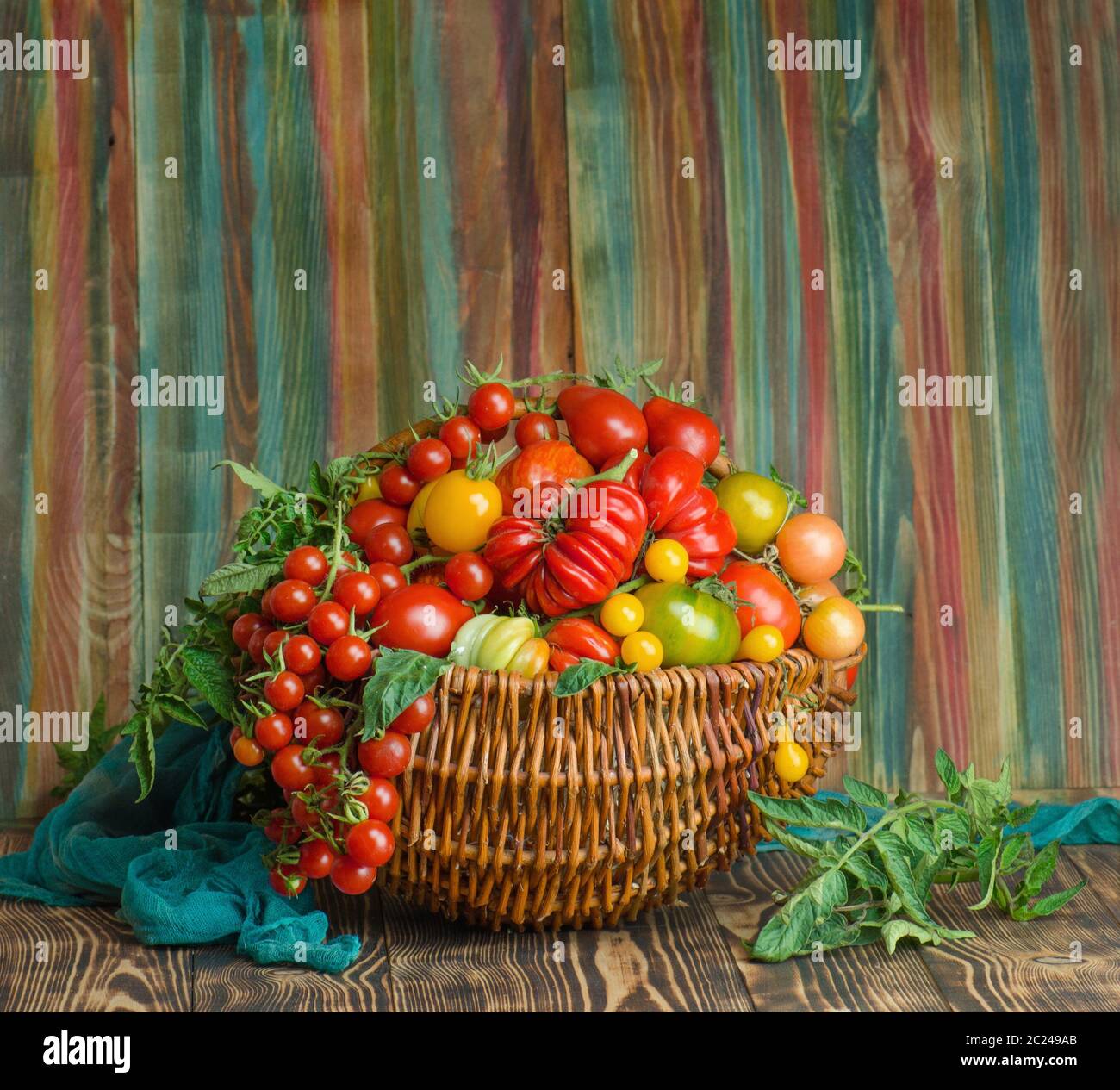 Wicker basket with various colorful vegetables. Fresh red tomatoes in ...