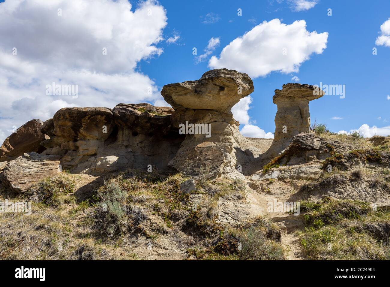 Hoodoos drumheller hi-res stock photography and images - Alamy