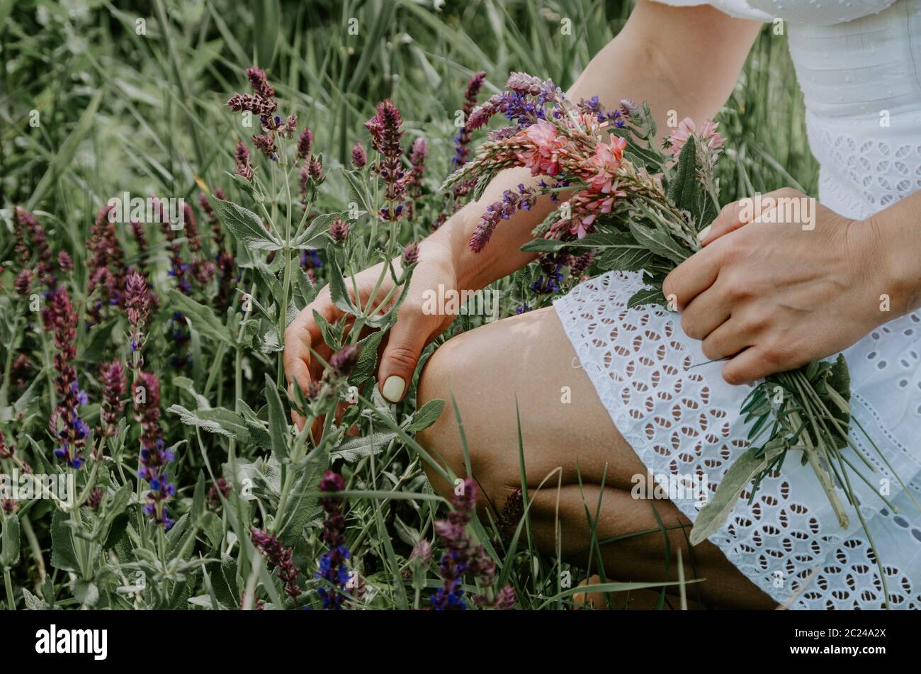 Hand picking wildflowers hi-res stock photography and images - Alamy