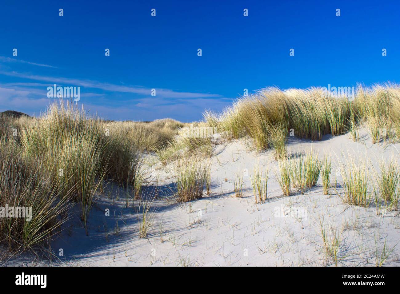 Trip to the zeeland hi-res stock photography and images - Alamy