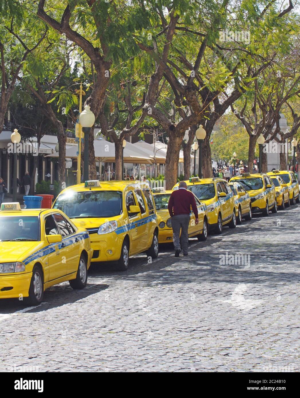 a line of yellow taxi cabs parked in the city center of funchal madeira ...