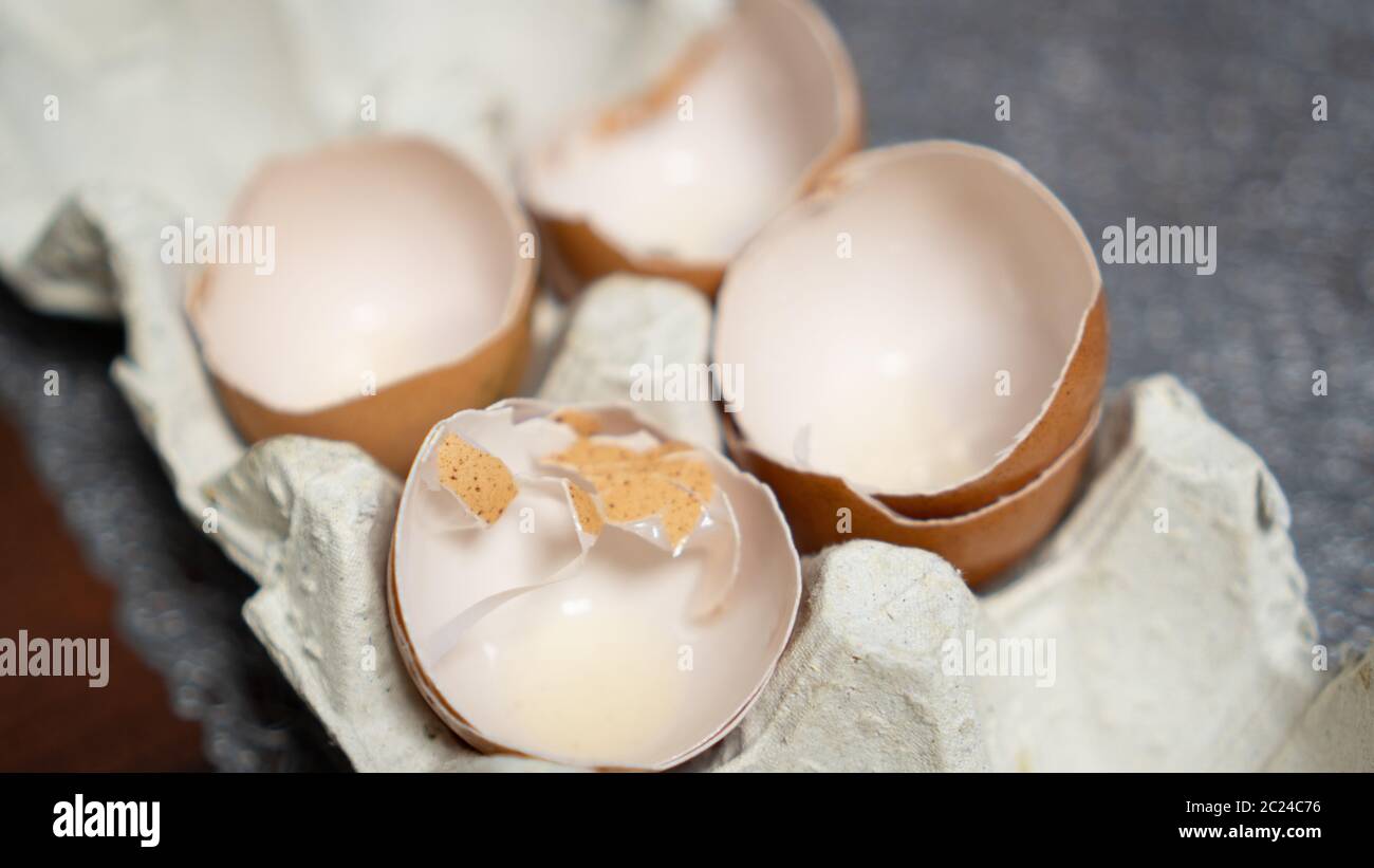 Shell recycling hi-res stock photography and images - Alamy