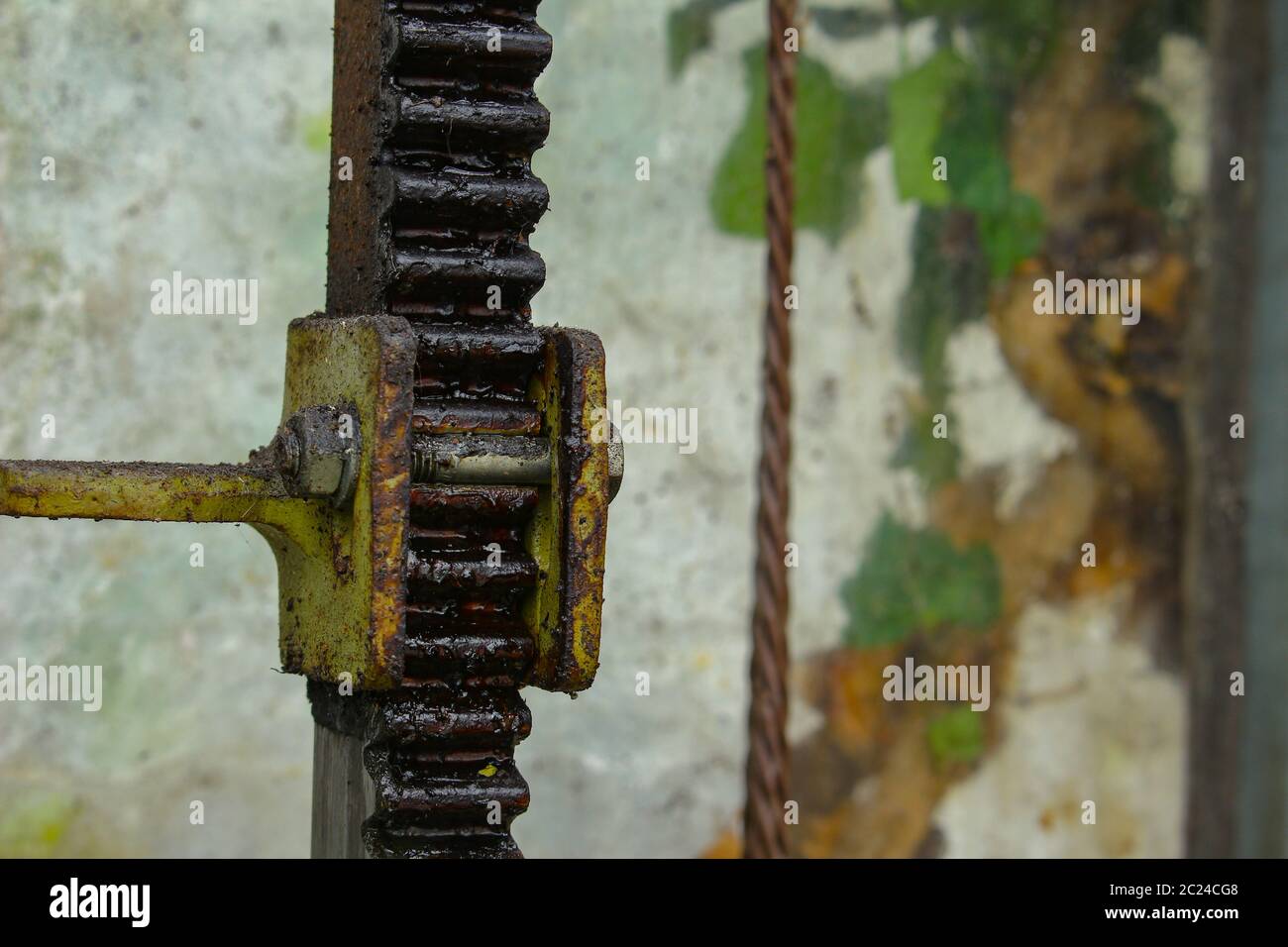 Close up of a old and rusty straight tooth rack covered with grease ...