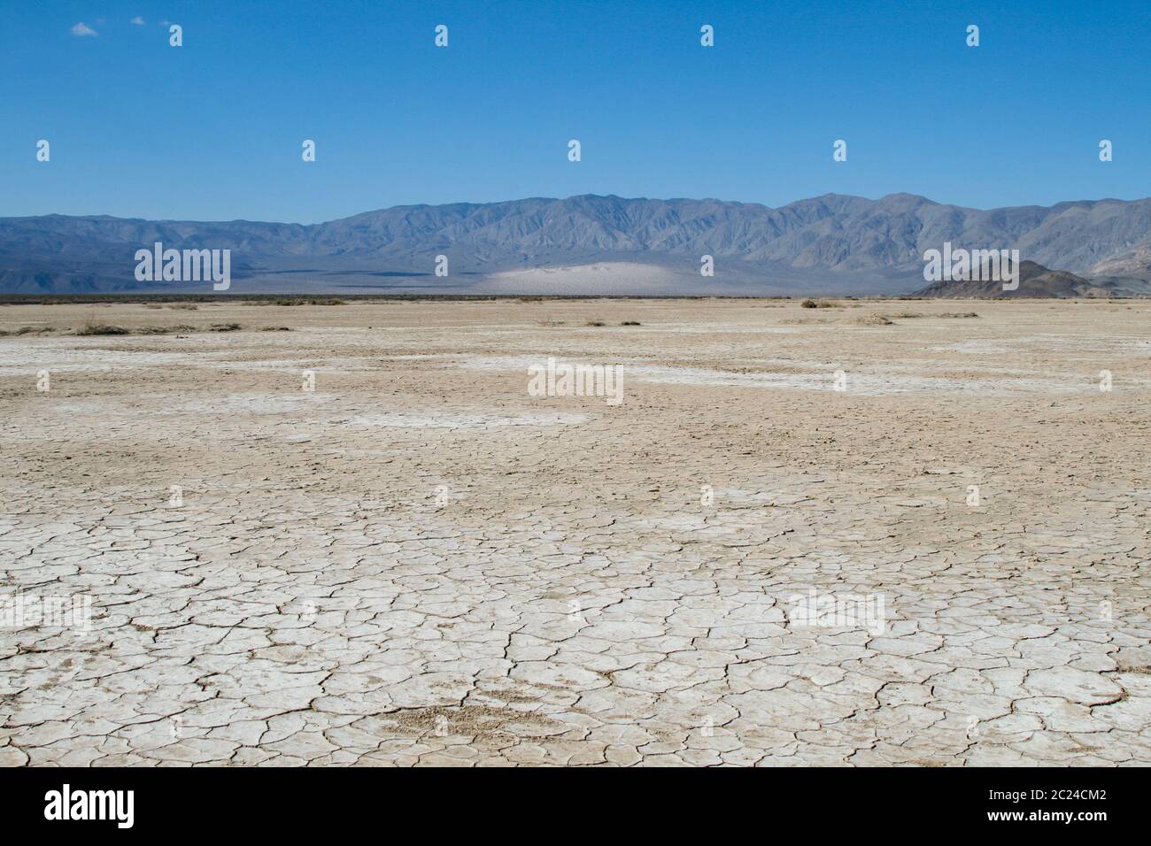 Extreme drought causes cracks in the soil Stock Photo - Alamy