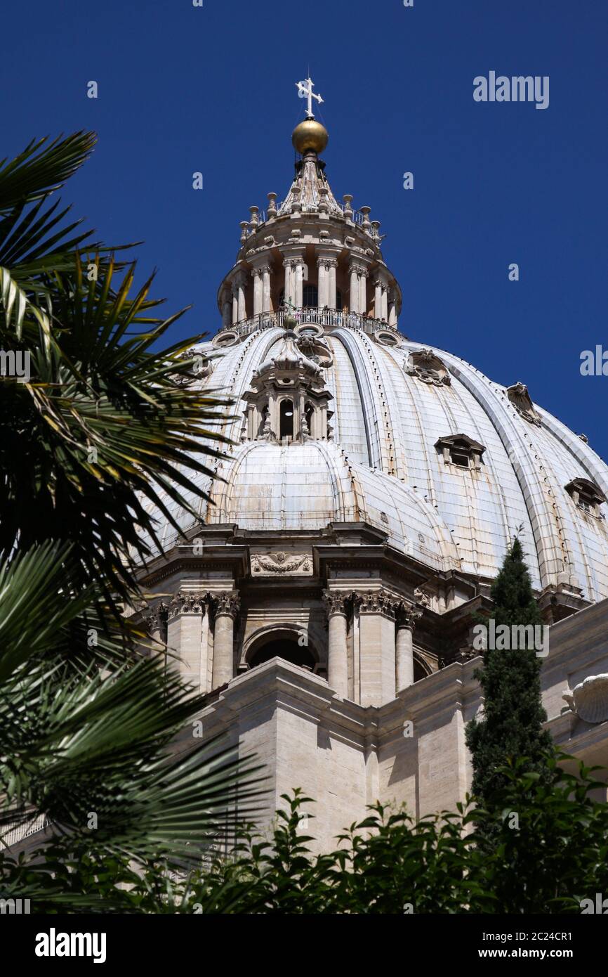 Palm leaves decorate view of dome of St. Peter's Basilica in Rome Stock ...