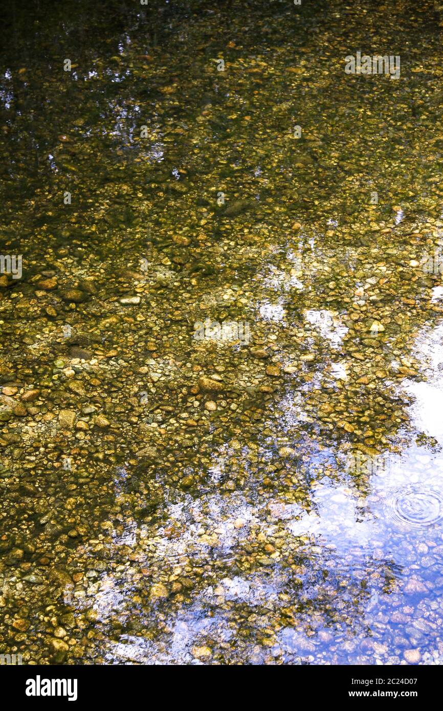 View in shallow water with pebbles and reflection Stock Photo - Alamy