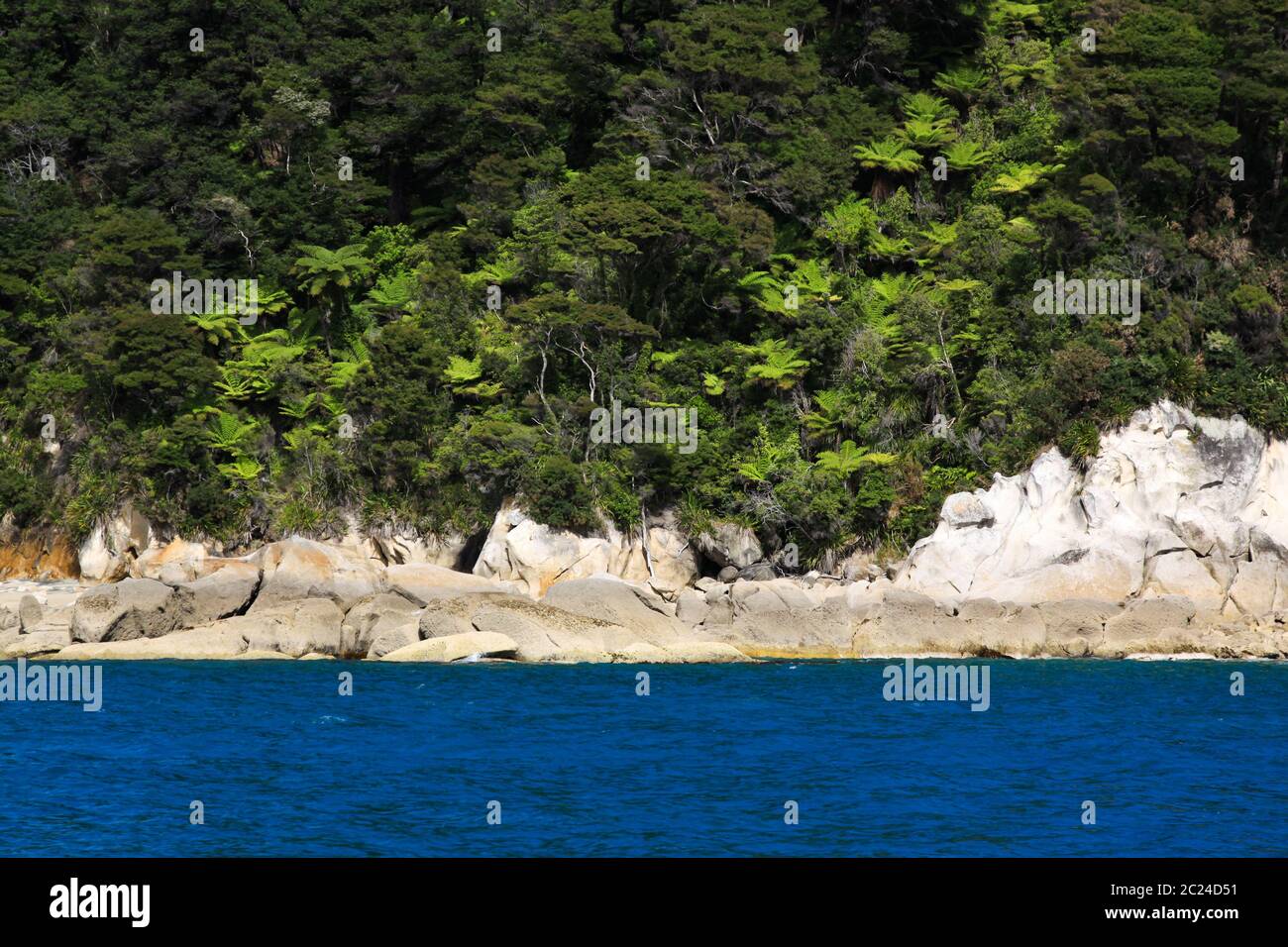 View from the deep blue sea to the densely overgrown bank Stock Photo ...