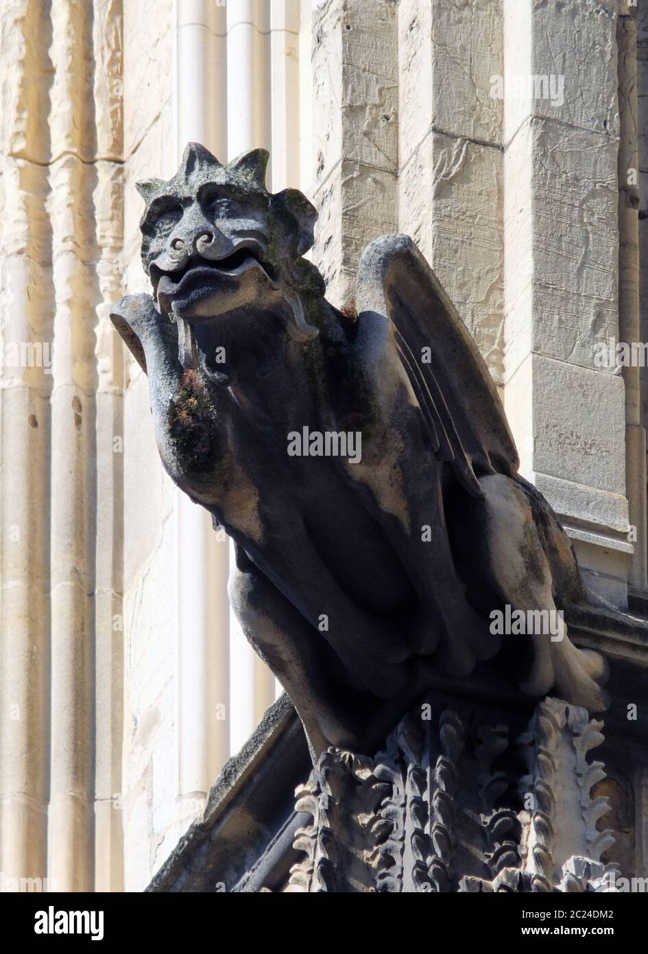 York minster cathedral gargoyle hi-res stock photography and images - Alamy
