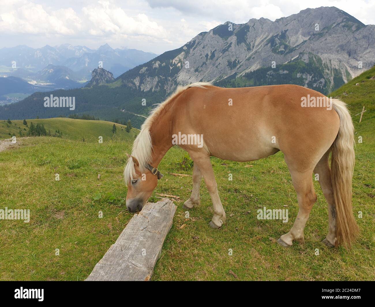hiking in the german alps Stock Photo - Alamy