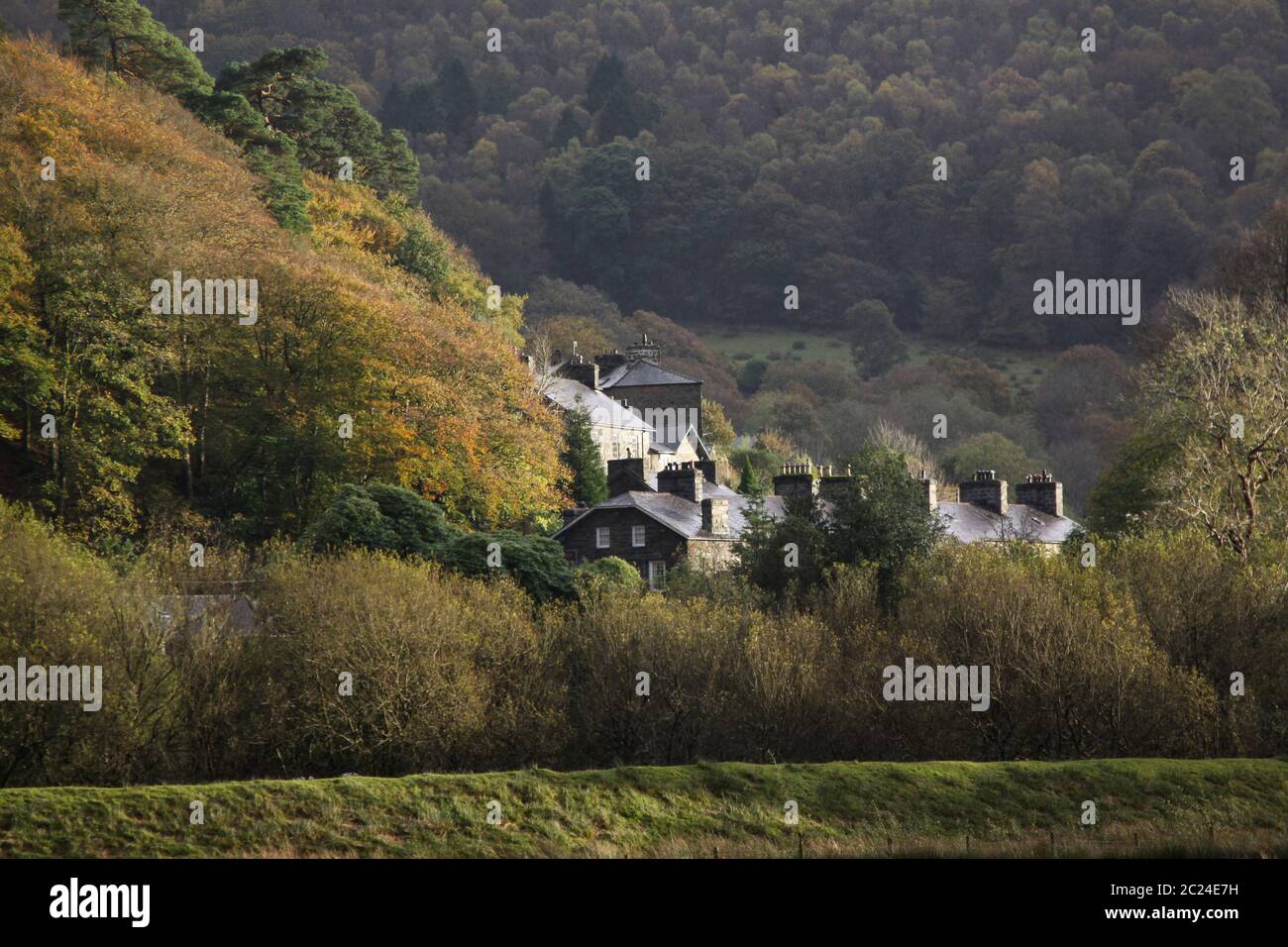 Typical English estate grown with deciduous trees Stock Photo - Alamy