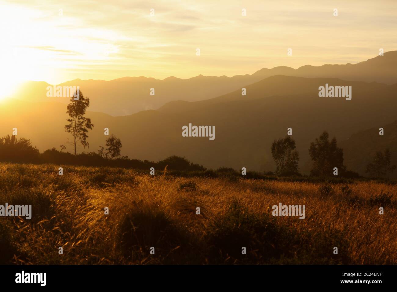 Setting sun colors highlands of the Andes in warm light Stock Photo - Alamy
