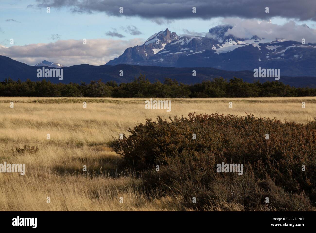 Panorama of far plain with meadow in front of mountains in Chile Stock ...