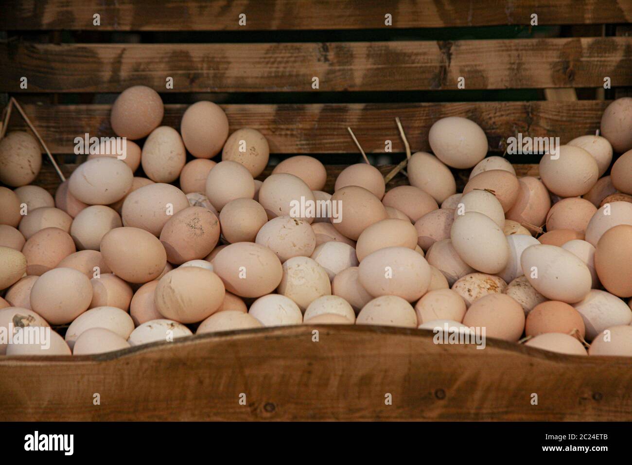 Bio eggs in the tray from the farm Stock Photo - Alamy
