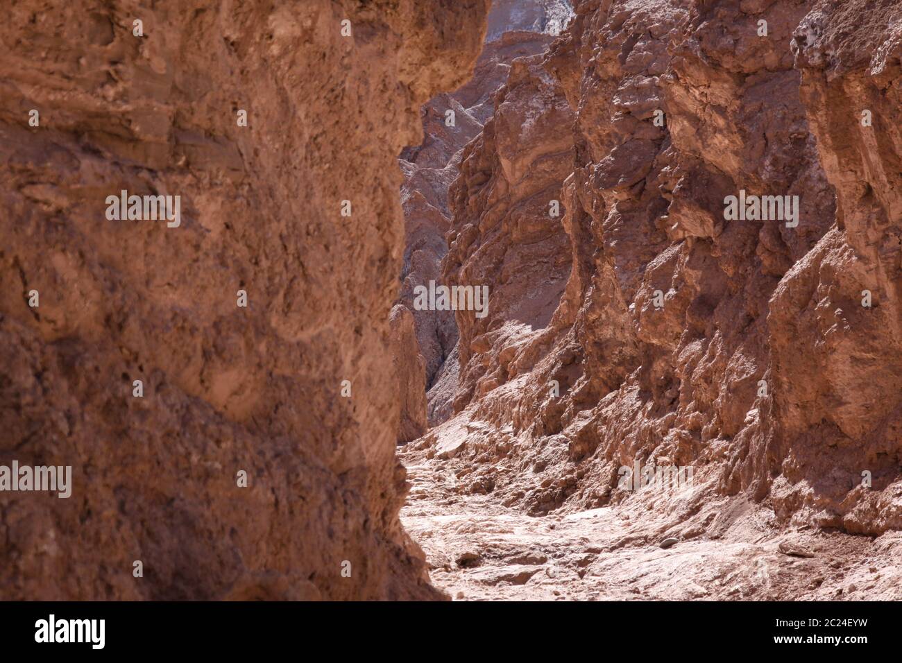 Network of paths hi-res stock photography and images - Alamy