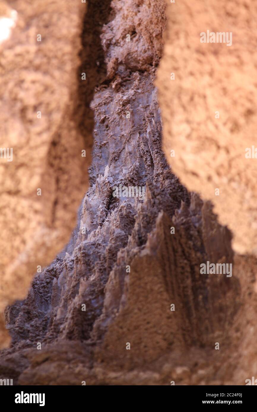 Optical wander hi-res stock photography and images - Alamy