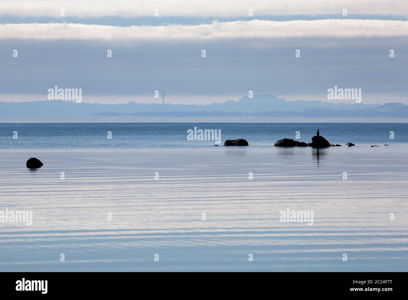Shallow lagoon with blue water from sea at Auckland Stock Photo - Alamy