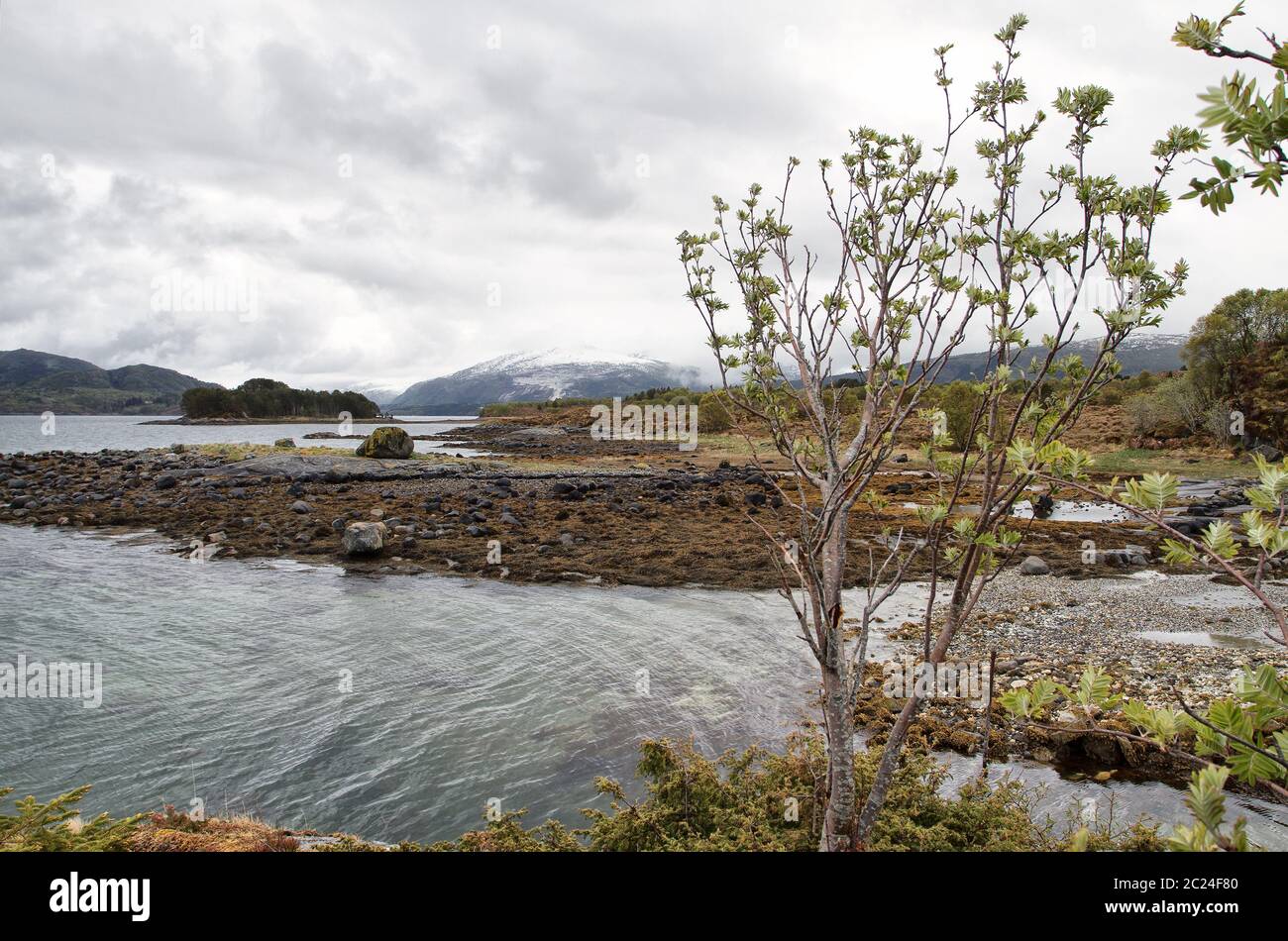 Kvernesfjord bei Vevang, Norwegen Stock Photo - Alamy