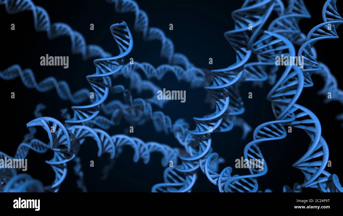 DNA. Abstract 3d polygonal wireframe DNA molecule helix spiral. Medical science background Stock ...