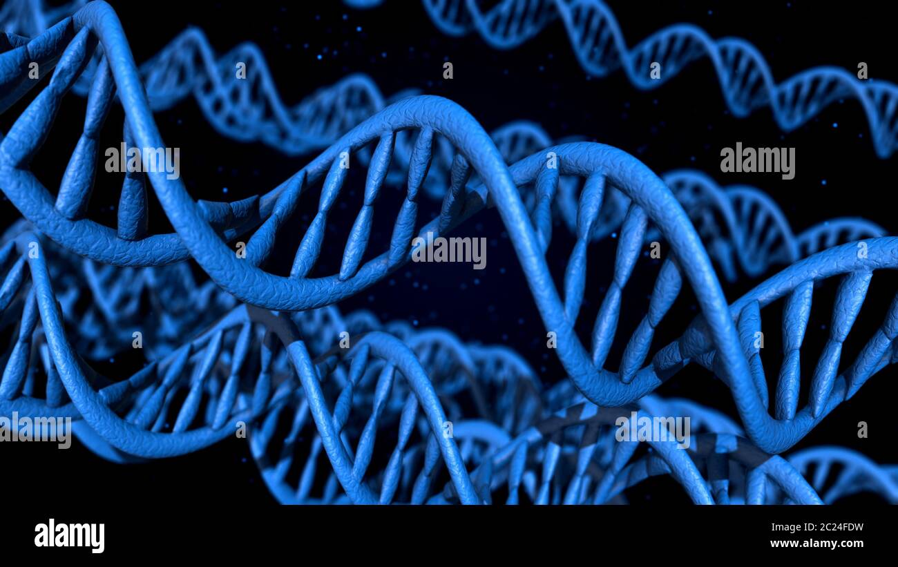 DNA. Abstract 3d polygonal wireframe DNA molecule helix spiral. Medical ...