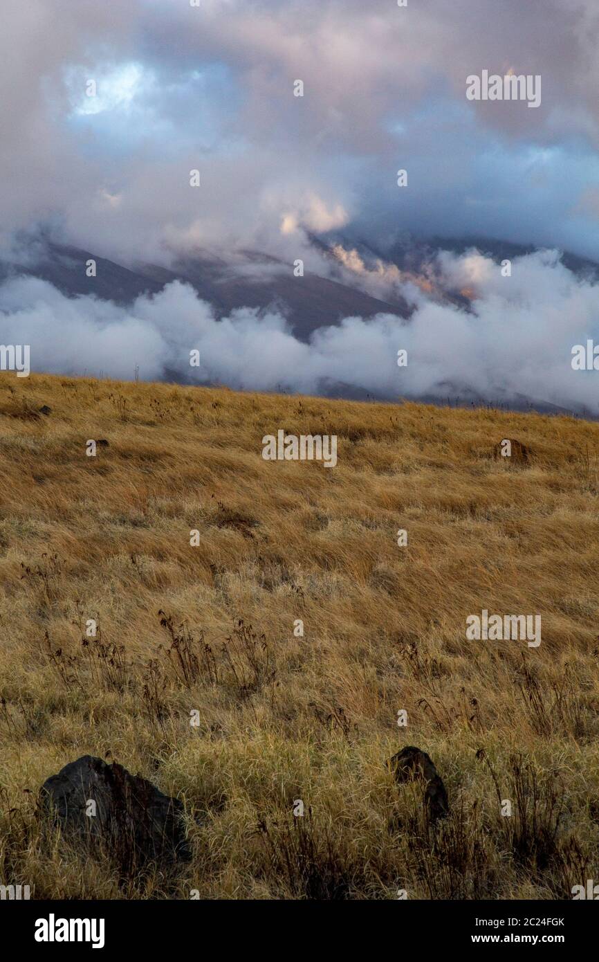 Dry prairie on hill with clouds and sunbeam Hawaii Stock Photo - Alamy