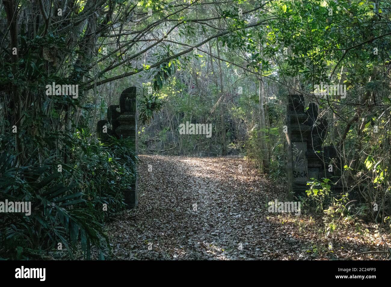 Abstract light magical door hi-res stock photography and images - Alamy