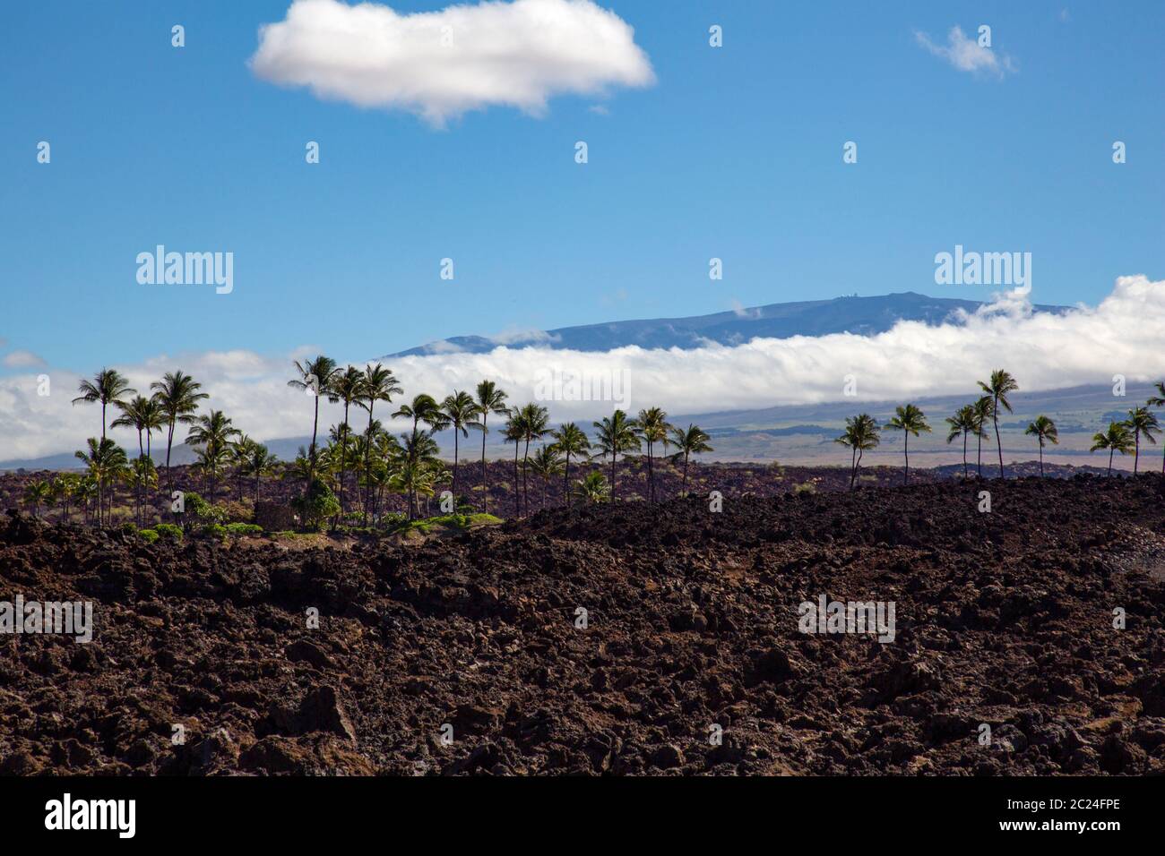 Observatory on Mauna Kea with extinct lava field and palm trees Stock ...