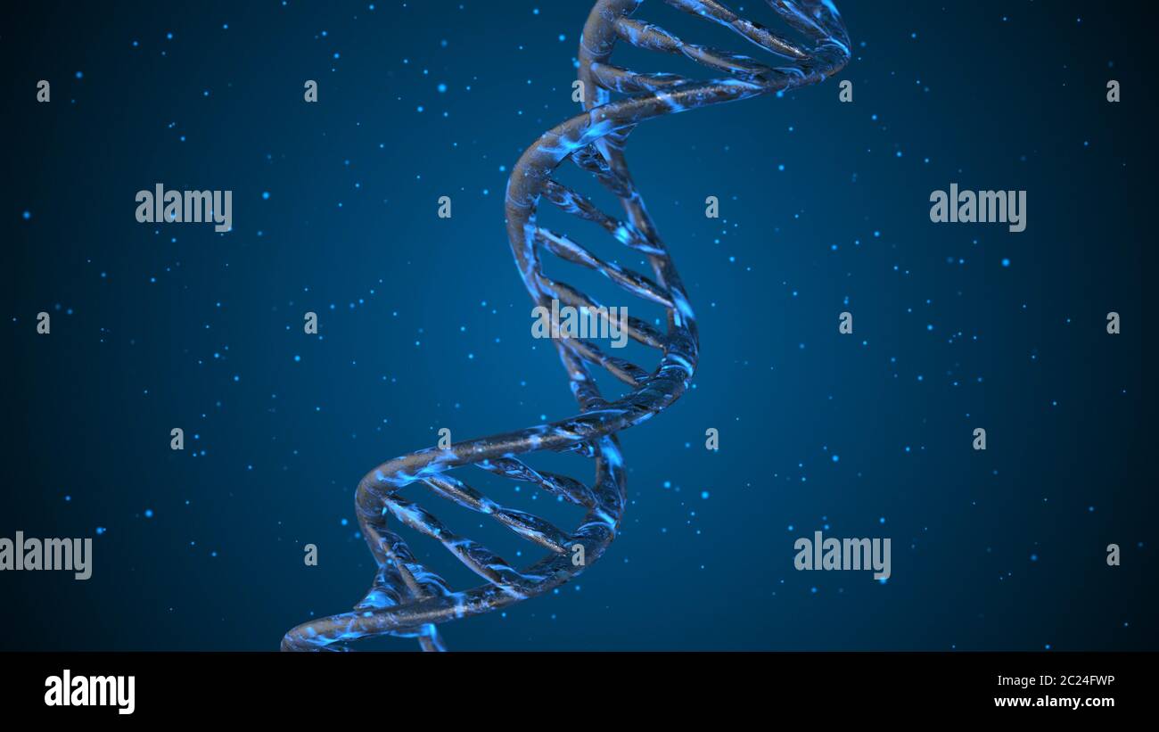 DNA. Abstract 3d polygonal wireframe DNA molecule helix spiral. Medical science background Stock ...