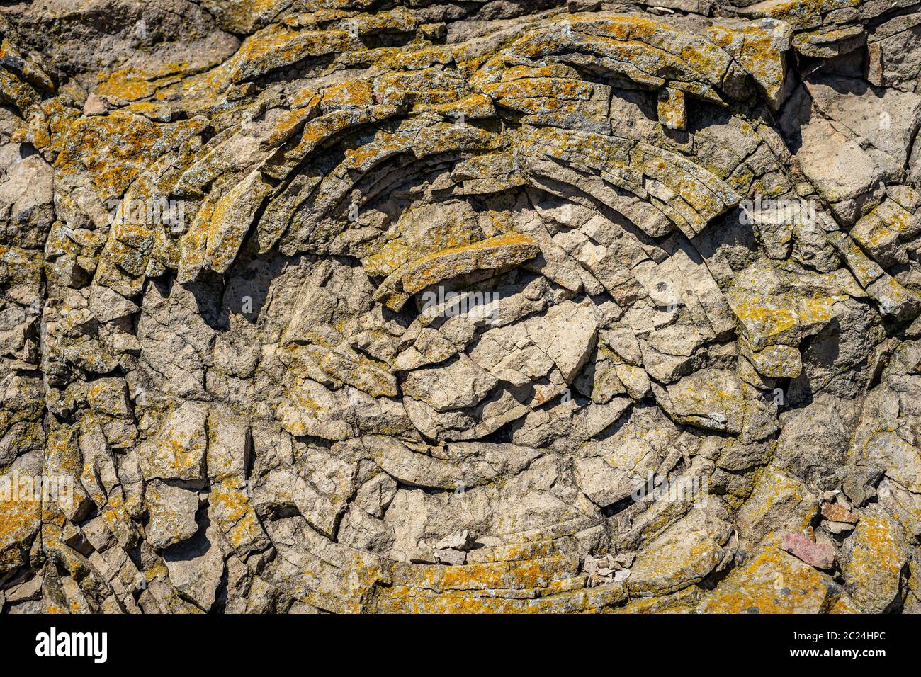 Sedimentary rock. Structure of natural stone. Background Stock Photo ...