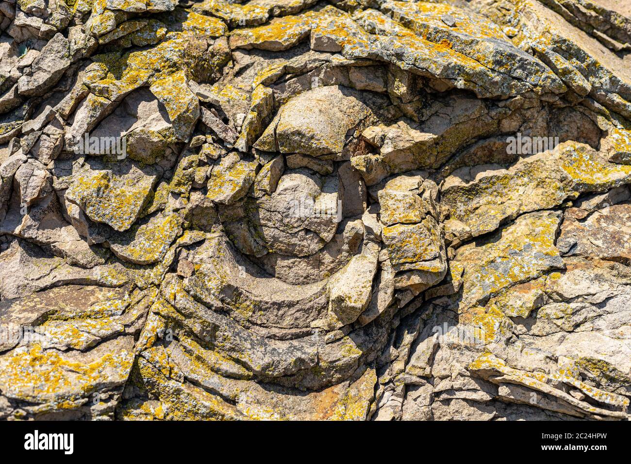 Sedimentary rock. Structure of natural stone. Background Stock Photo ...